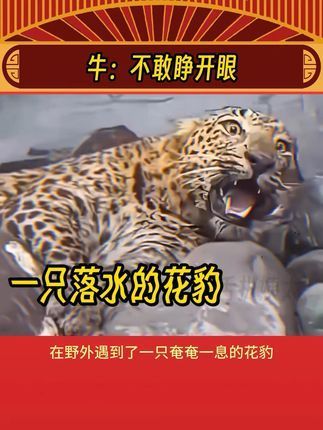 牛:屋里不安全 我这里安全呗#娱乐评论大赏