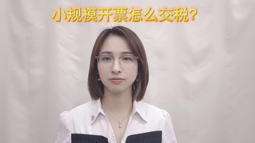 小规模企业开票怎么交税呢?#好会计找宏兴#宏兴财税集团