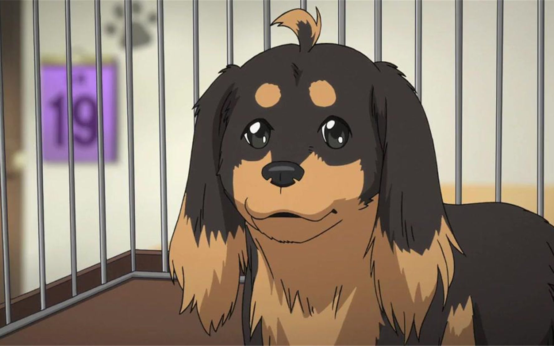 此狗不卖?女主掏出剪刀后老板立马卖