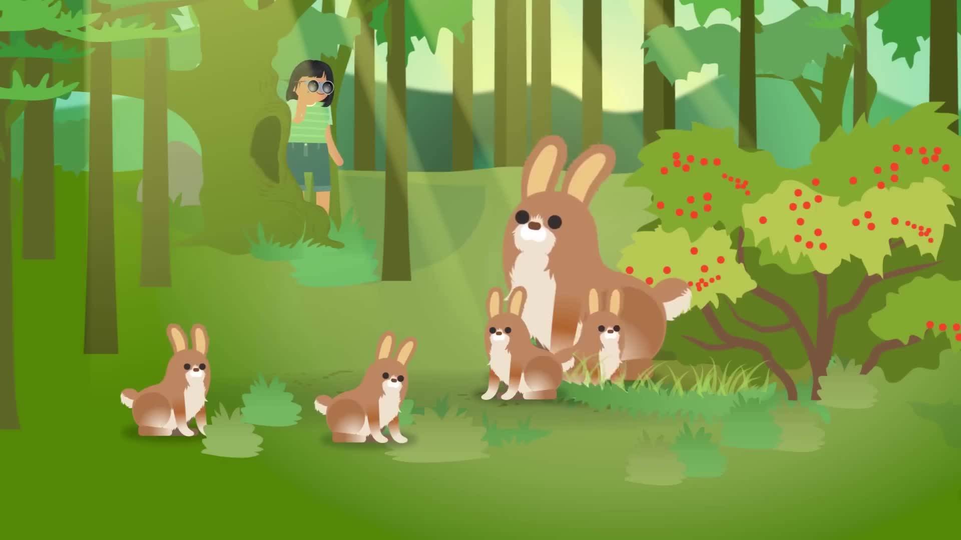 种群数量的变化:"J"形增长和"S"形增长 #生物 #知识分享