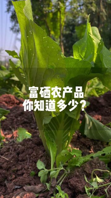 你知道我国的富硒农产品有哪些吗恩施恩施硒博会农产品湖北星旅播...