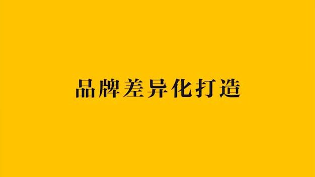 品牌差异化打造:品牌形象设计+(品牌理念、目标群体、效益