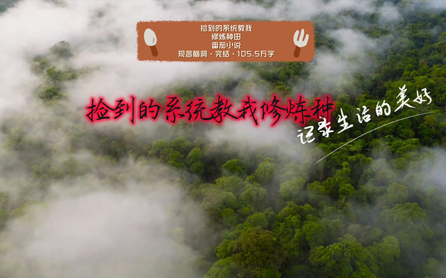 捡到的系统教我修炼种田番茄小说现言脑洞·完结·105.5万字