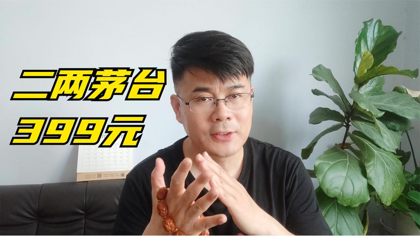二两装的飞天茅台酒上线,售价399元,你会买吗?