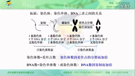必修一第四单元细胞的生命历程第一讲细胞的增殖