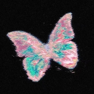 Kyier可 