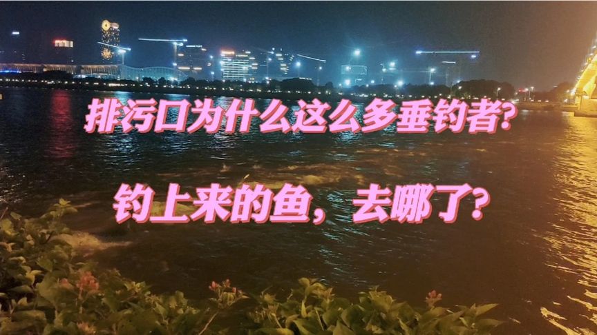 污水处理厂排污口钓上来的鱼能吃吗?垂钓者为何聚集在排污口?