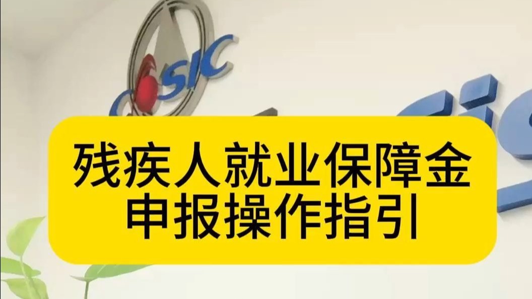 本期话题:《残疾人就业保障金申报操作指引》