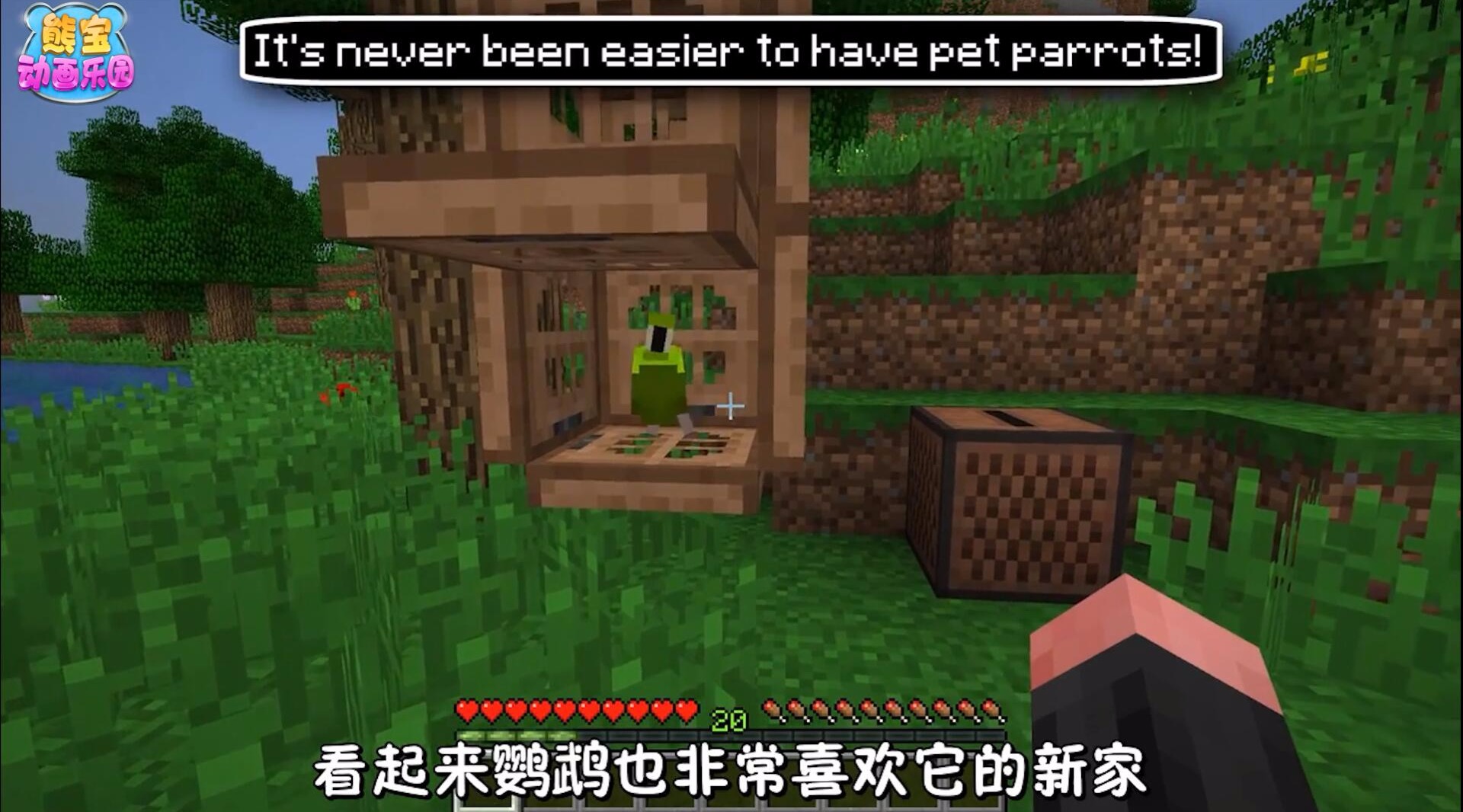 我的世界教程 教你制作一个鹦鹉笼子