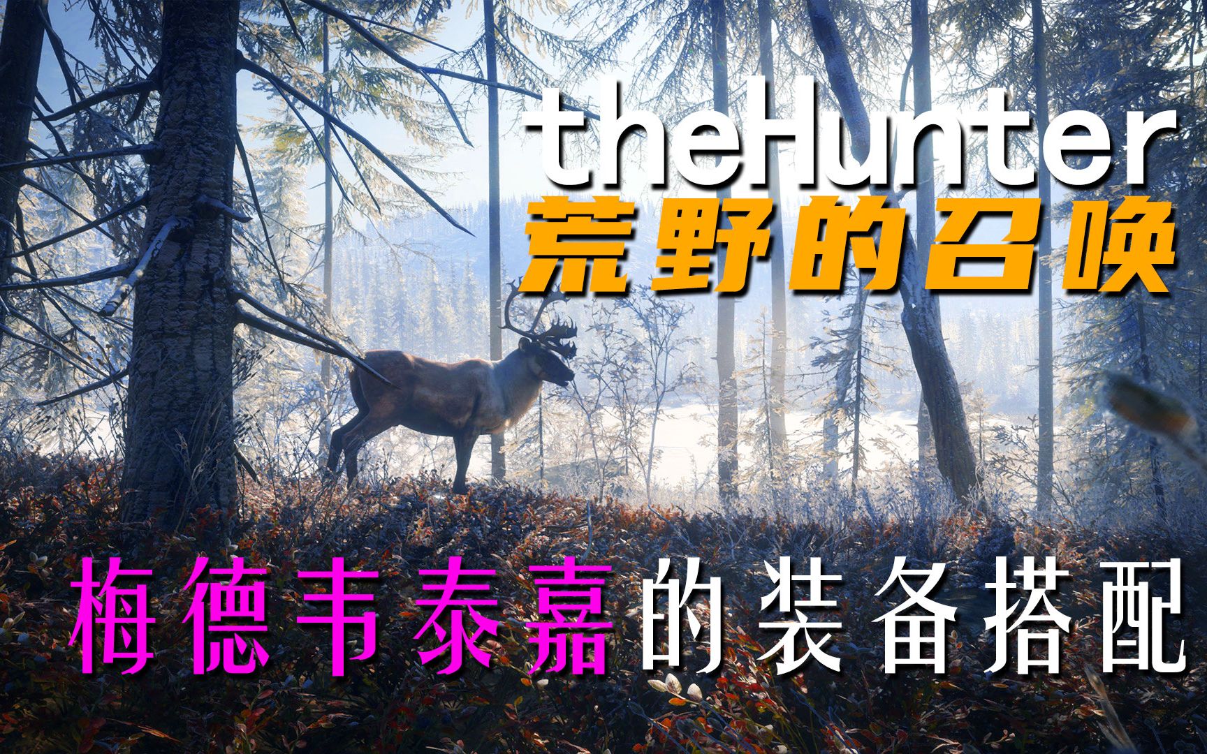 《theHunter: Call of the Wild荒野的召唤》梅德韦泰嘉的装备搭配