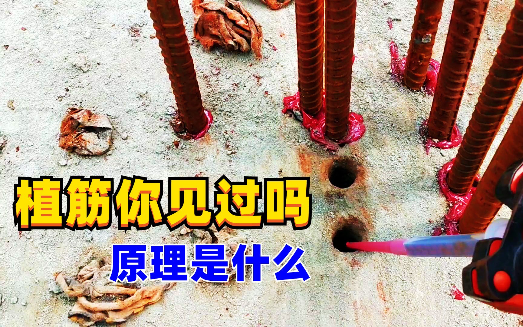 植筋是干什么的?听过很多次却没见过,这回搞明白了