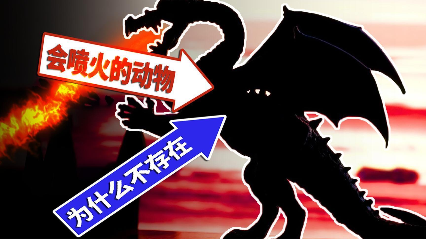 地球上有喷毒的动物,放电的动物,为什么没有会喷火的动物?