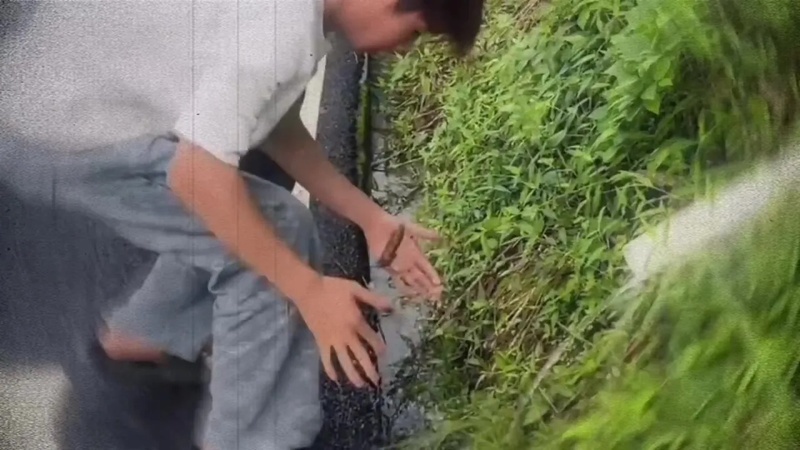 #大数据推给你的