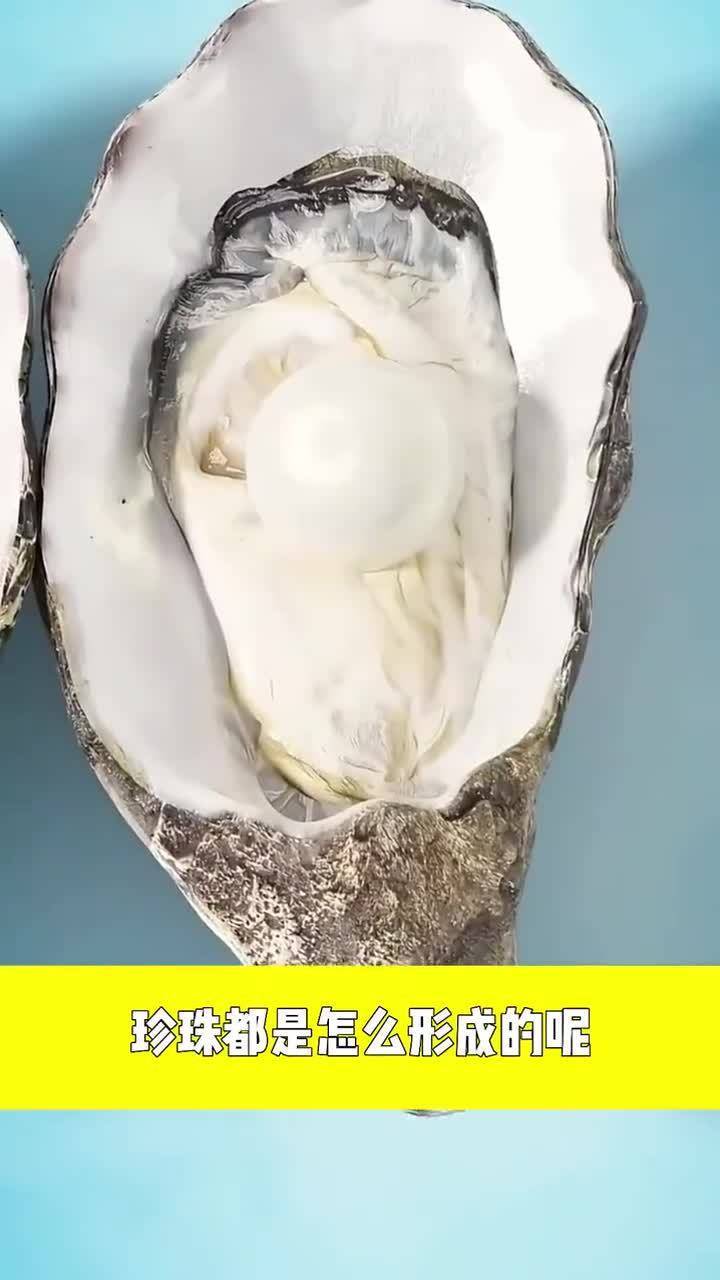 你知道珍珠是如何形成的吗,简直太不可思议了