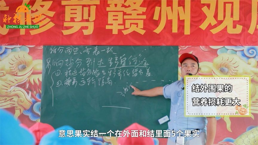 观摩会讲课【6】:只会大水大肥,没有高效运输导管,产量难提升