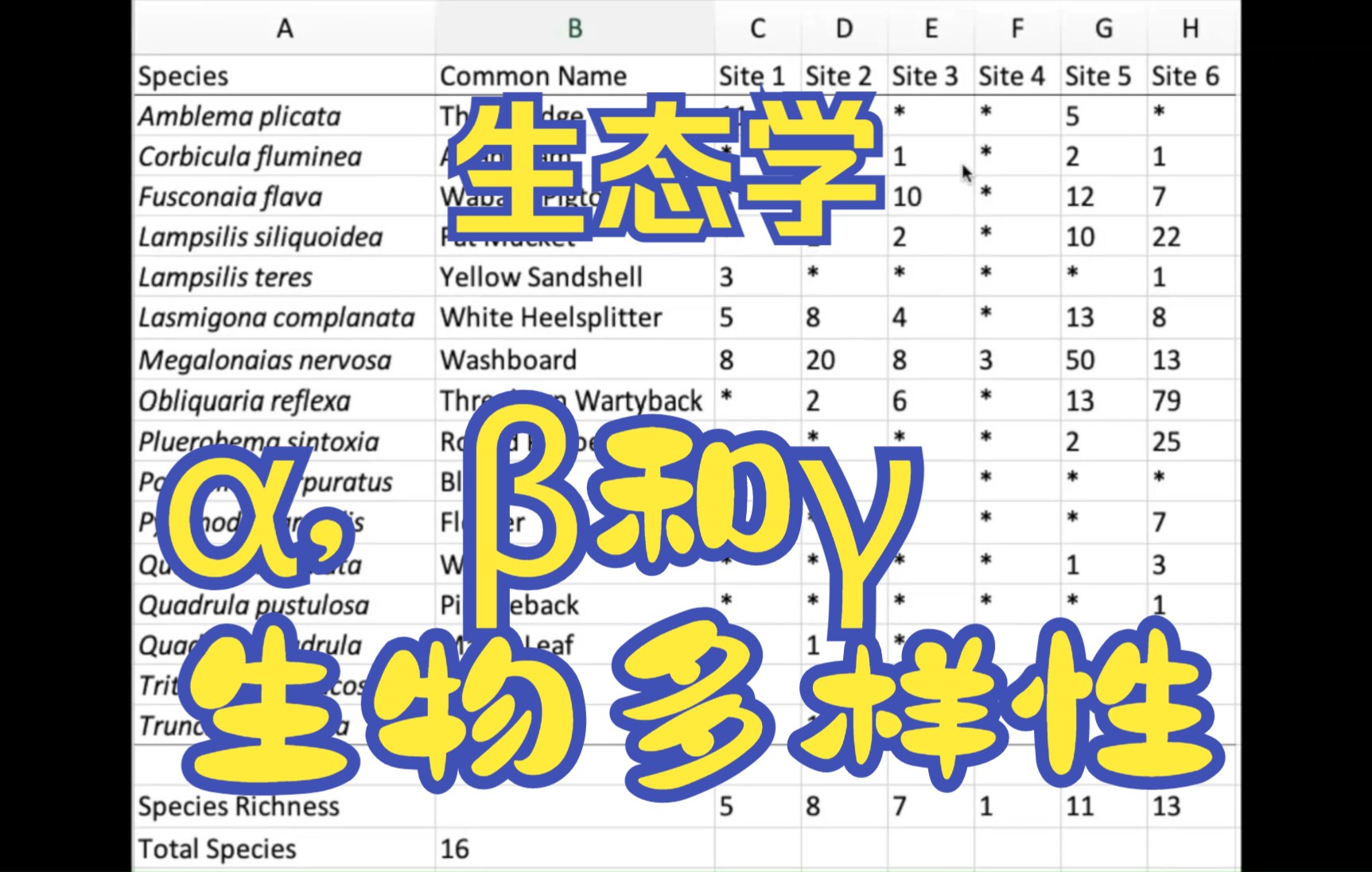 生态学生物多样性(alpha,beta and gamma)计算方法