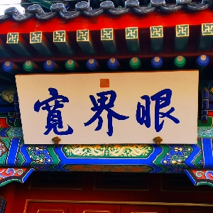 城市街口的老榆树 