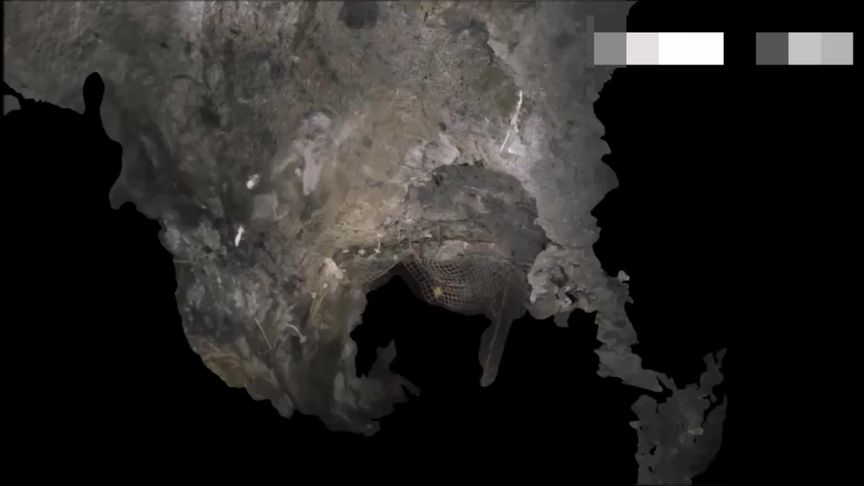 真实的金脉是啥样?无底柱崩落法采矿自由面 #爆破现场