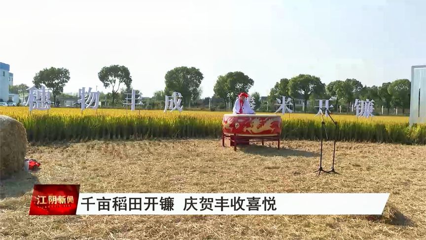 千亩稻田开镰 庆贺丰收喜悦