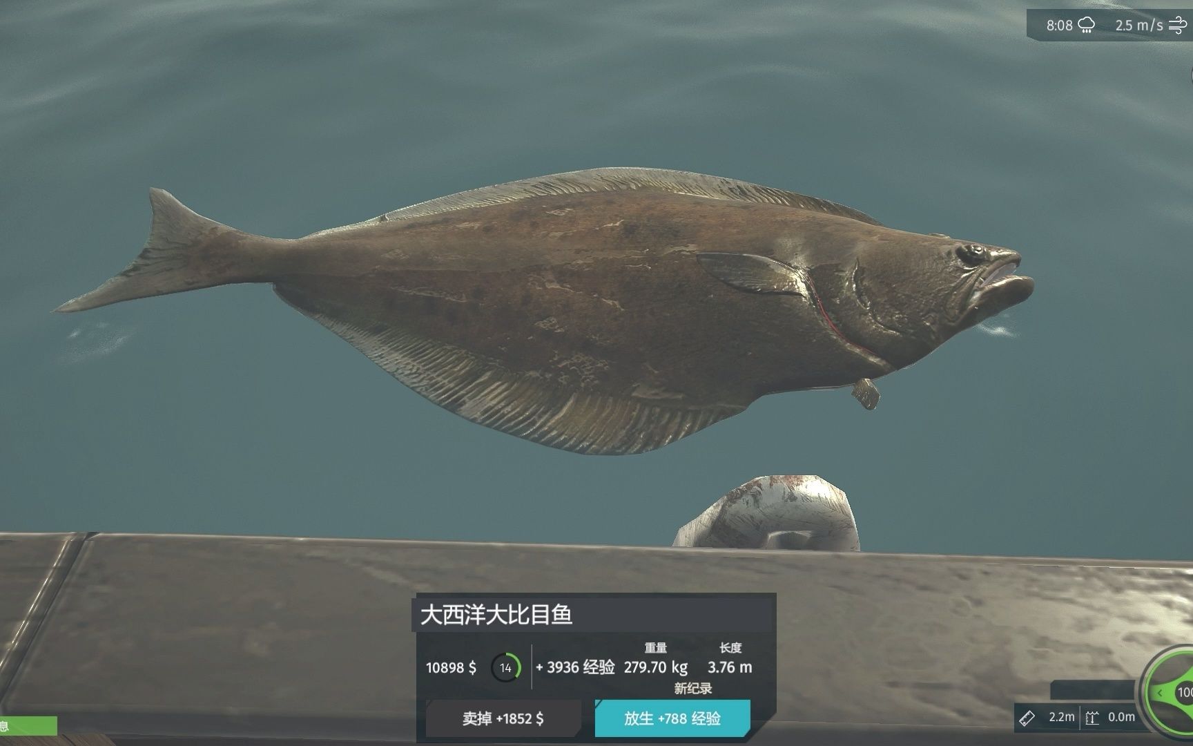 赛博钓鱼佬海钓电子比目鱼【终极钓鱼模拟器】