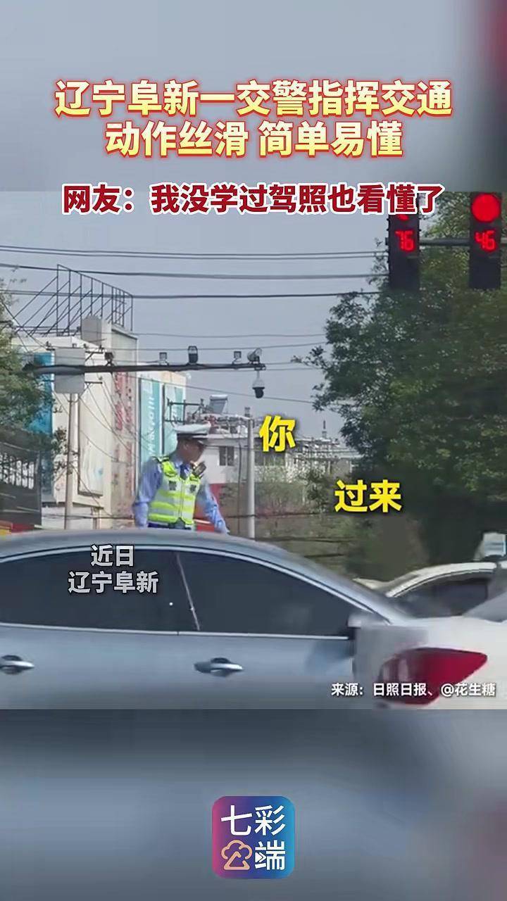 辽宁阜新一交警指挥交通,动作丝滑、简单易懂,网友:敬业爱岗才能那么...