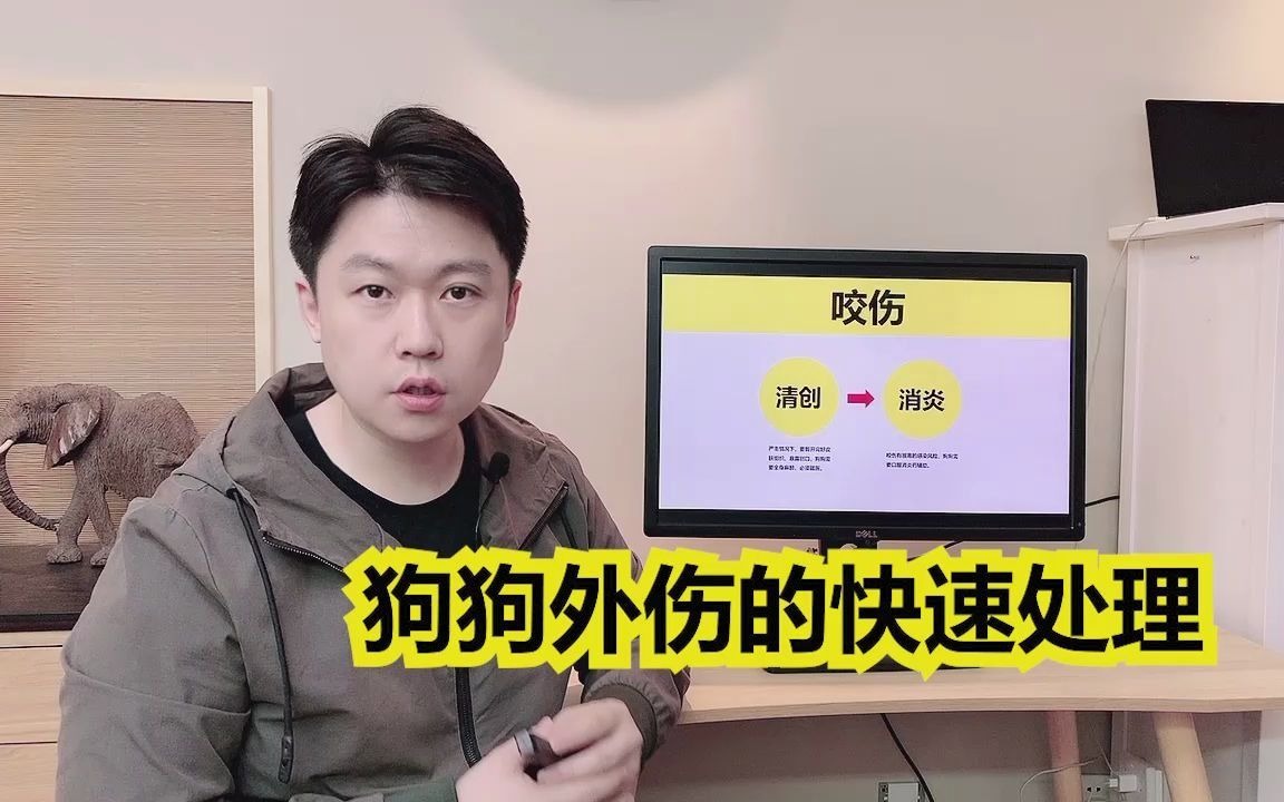 狗狗外伤的快速处理