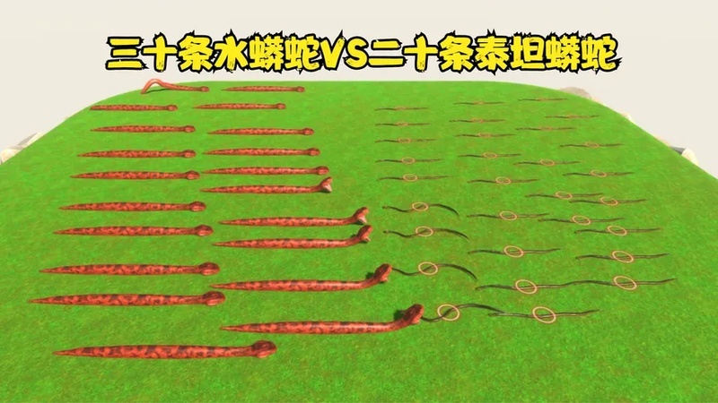 动物战争:三十条水蟒蛇VS二十条泰坦蟒蛇谁更牛