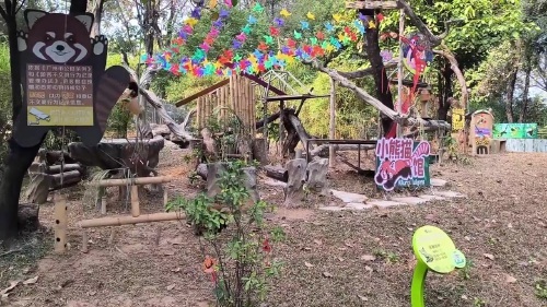 原来小熊猫也是那么可爱的 小熊猫