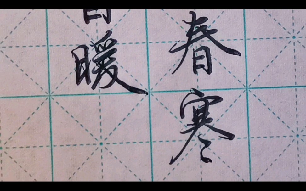 硬笔行书写李元膺《洞仙歌》,但莫管春寒,醉红自暖