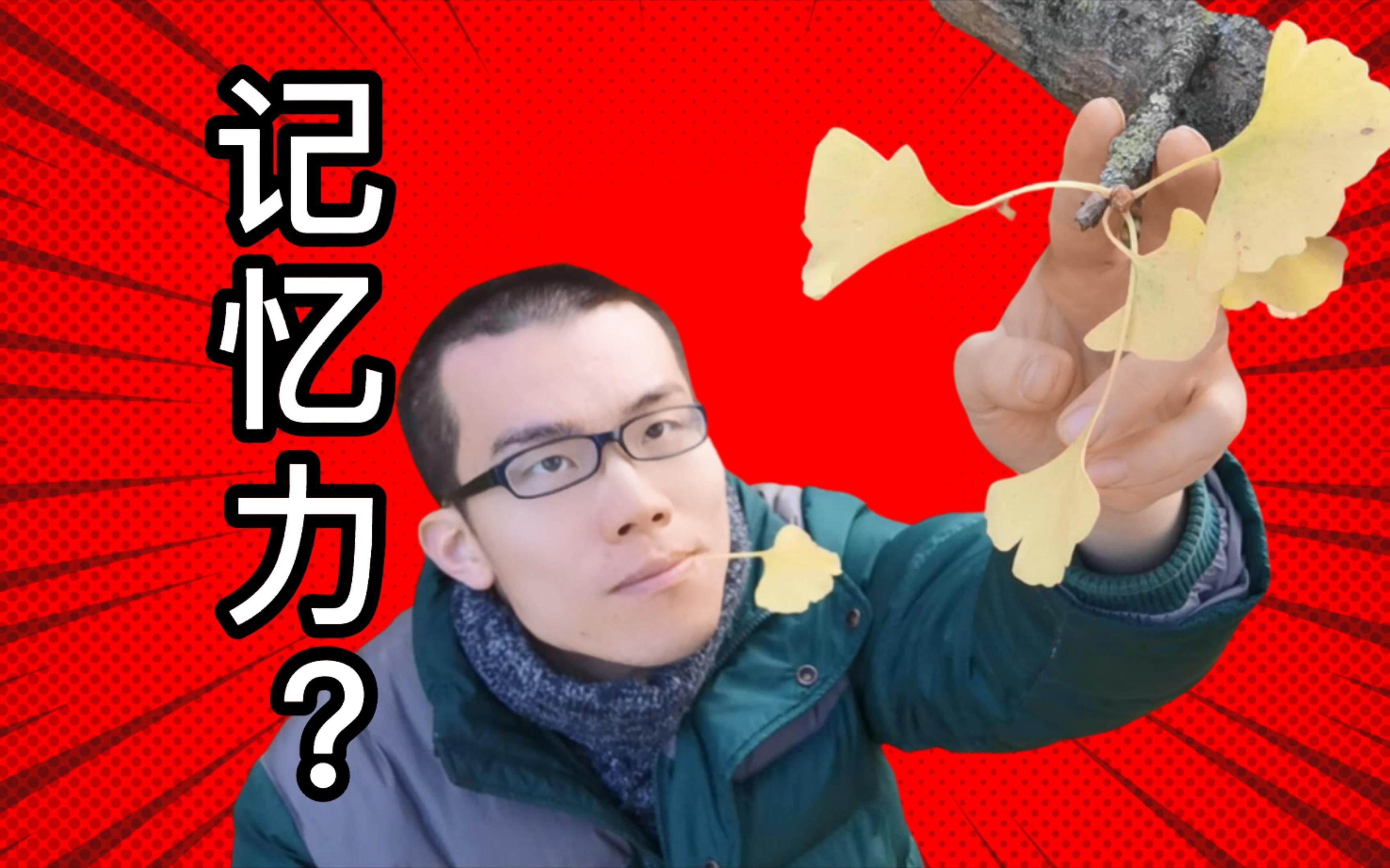 银杏叶,竟然是畅销欧美的记忆力保健品