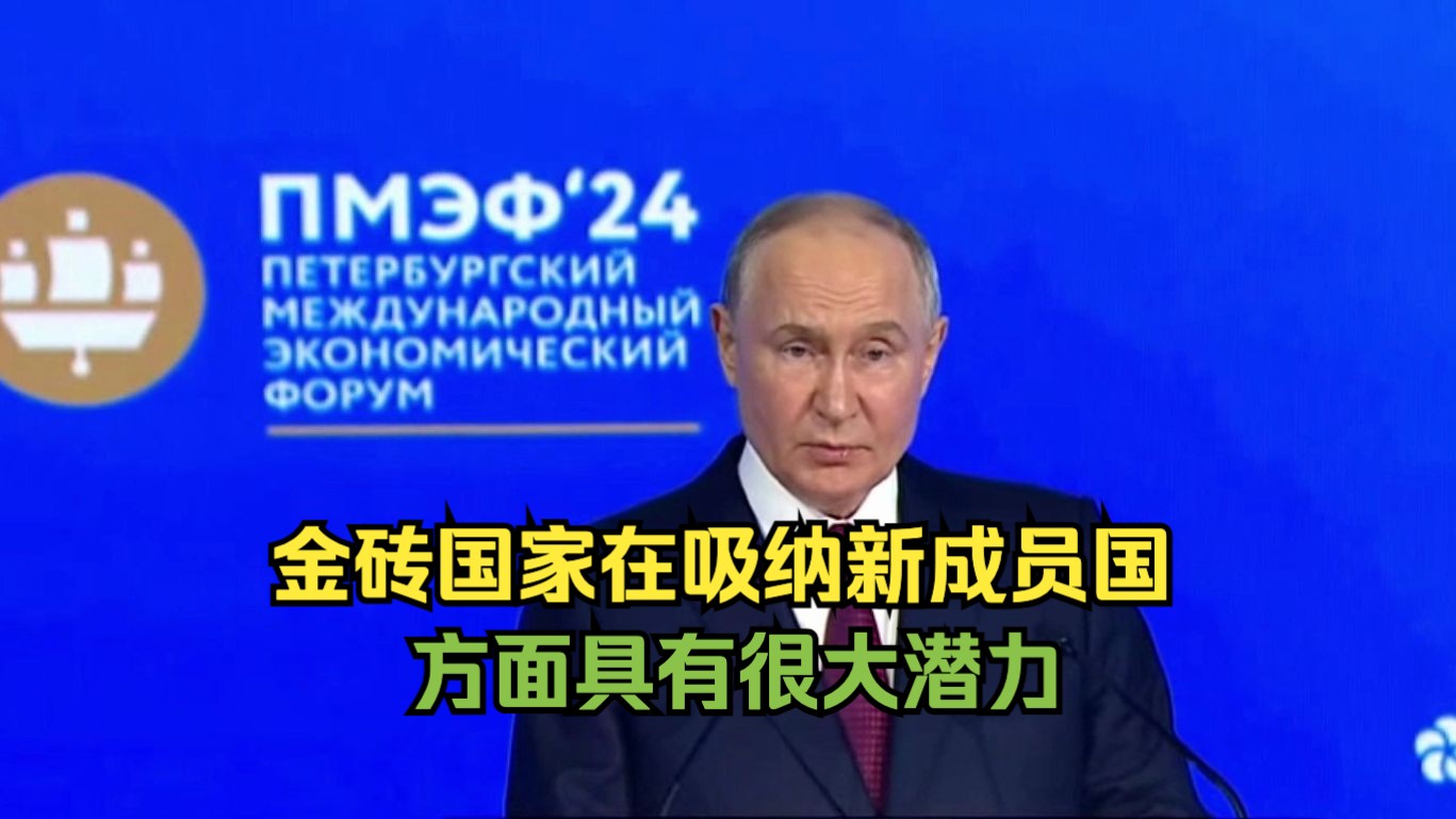 普京:金砖国家在吸纳新成员国方面具有很大潜力