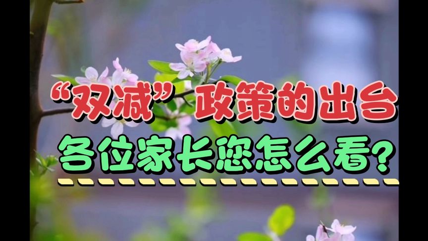 “双减”政策的出台,各位家长您怎么看?