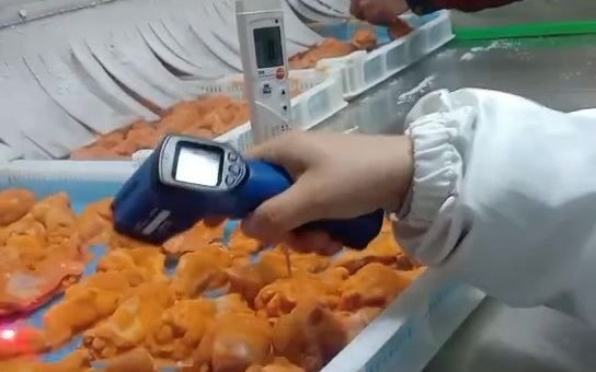 隧道式速冻机无包装速冻 鸡产品速冻生产线 速冻调理食品的速冻机 板...