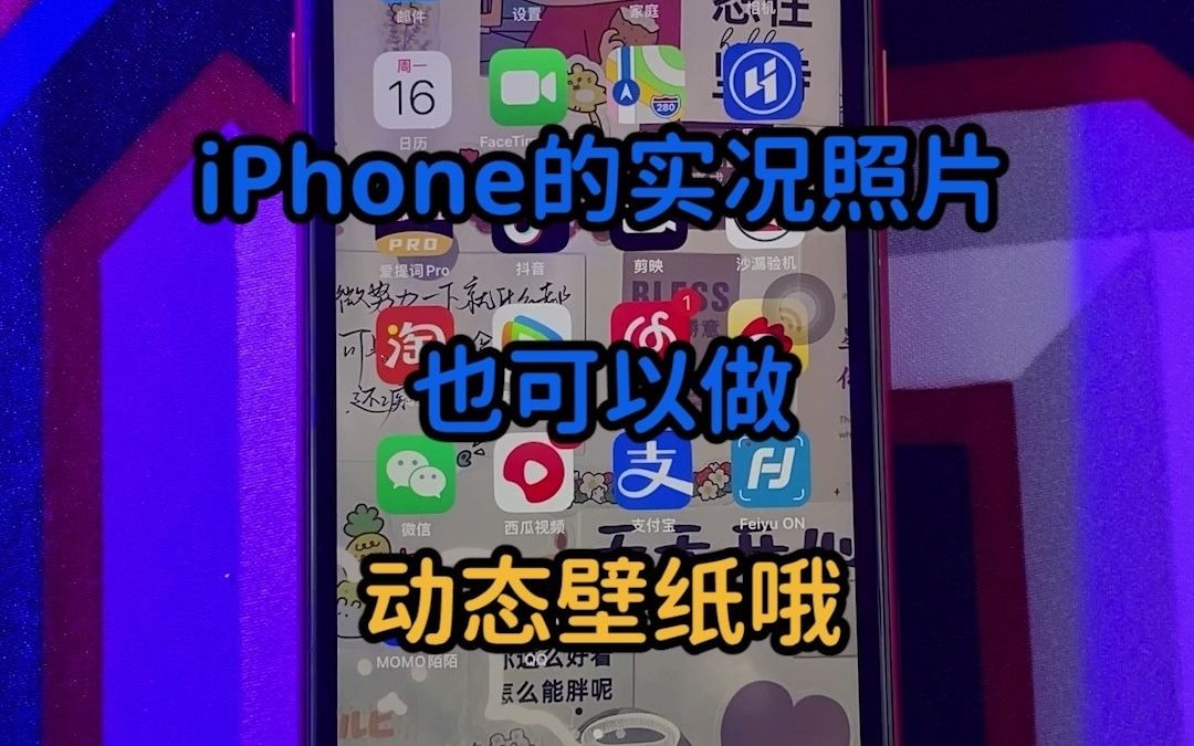 30秒教你将iPhone实况照片设置为动态壁纸,好看又好玩!