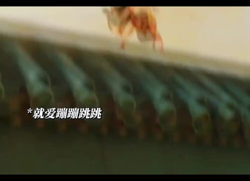 几个活无敌了哪吒点视频底部链接看完整版