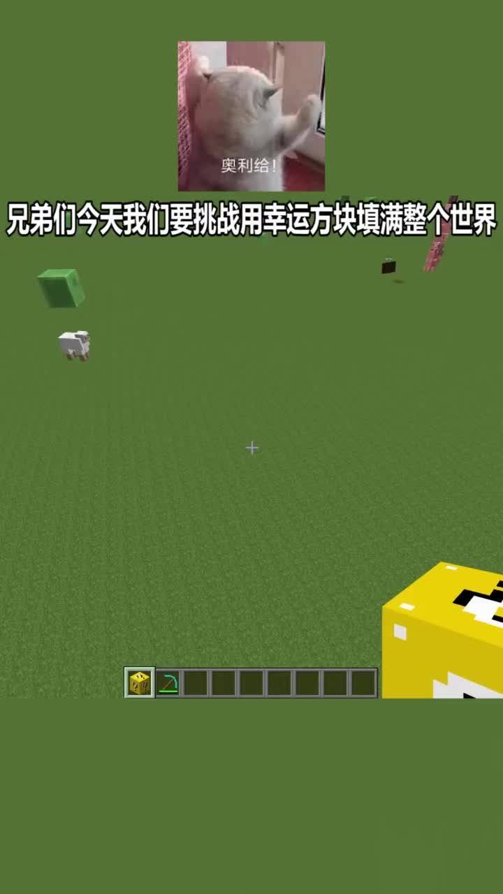 翔凯挑战用幸运方块填满我的世界