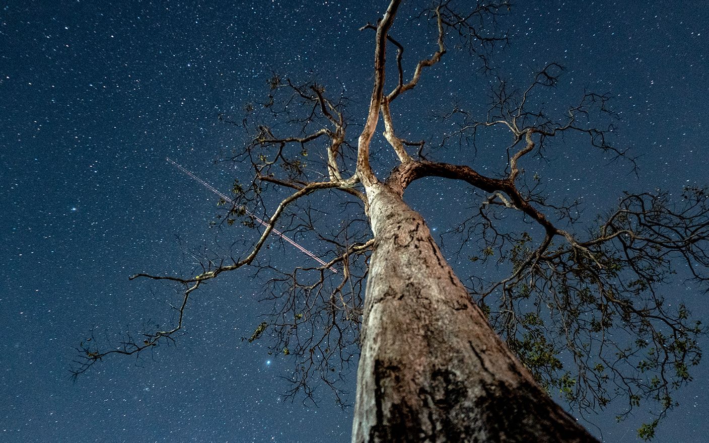 一看就会!让你的视频动起来,Pr延时视频合成。