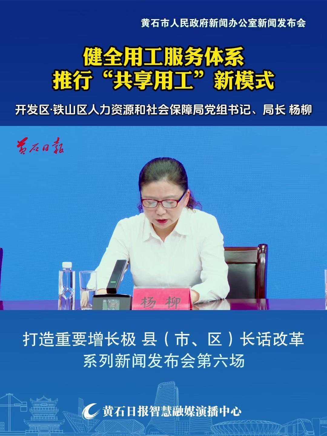 ...区·铁山区人力资源和社会保障局党组书记、局长杨柳:健全用工服务...