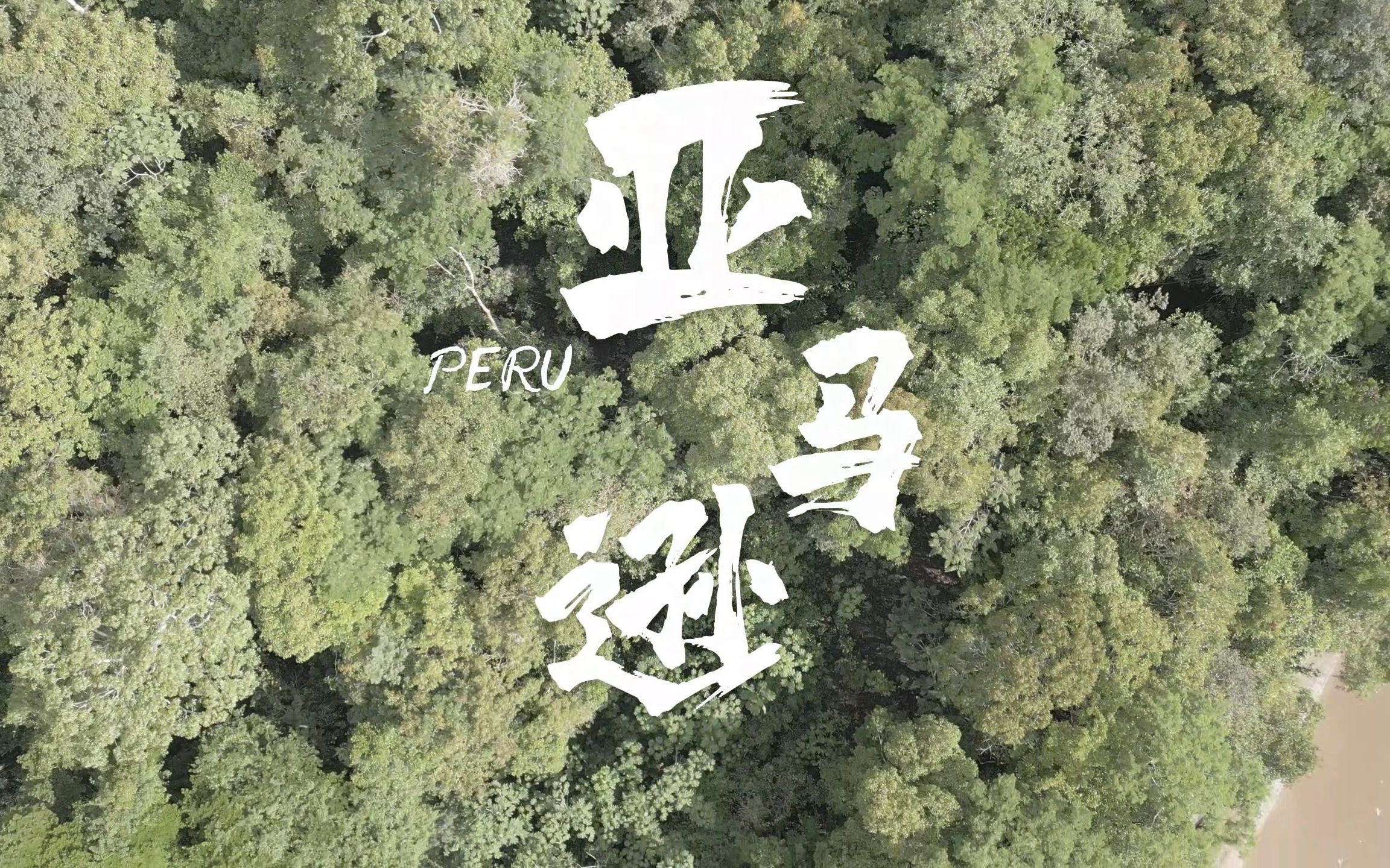 秘鲁亚马逊雨林冒险的4天3夜!真的有那么凶险么?