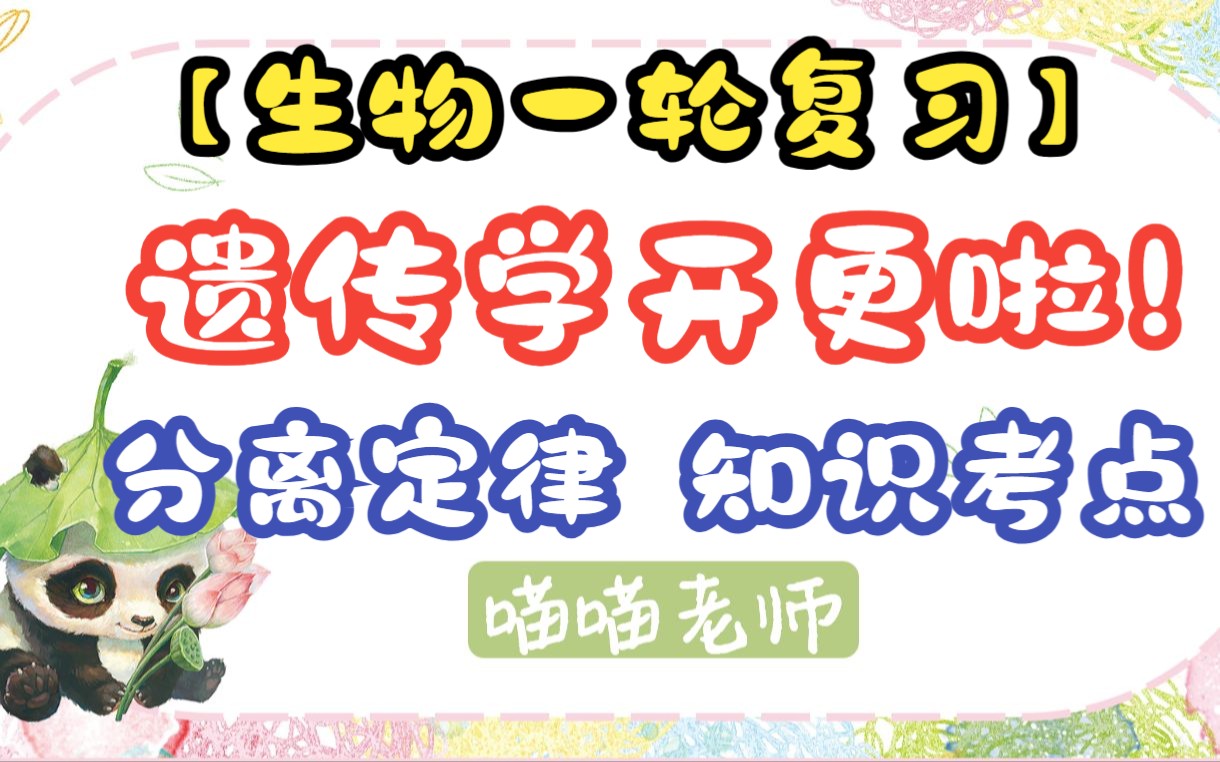 【遗传学】1-1 分离定律的发现及验证 知识点考点总结【一轮复习】