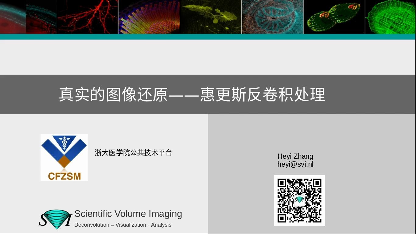 惠更斯软件反卷积专题讲座