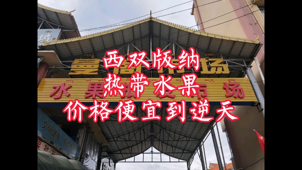 西双版纳热带水果价格便宜到逆天!