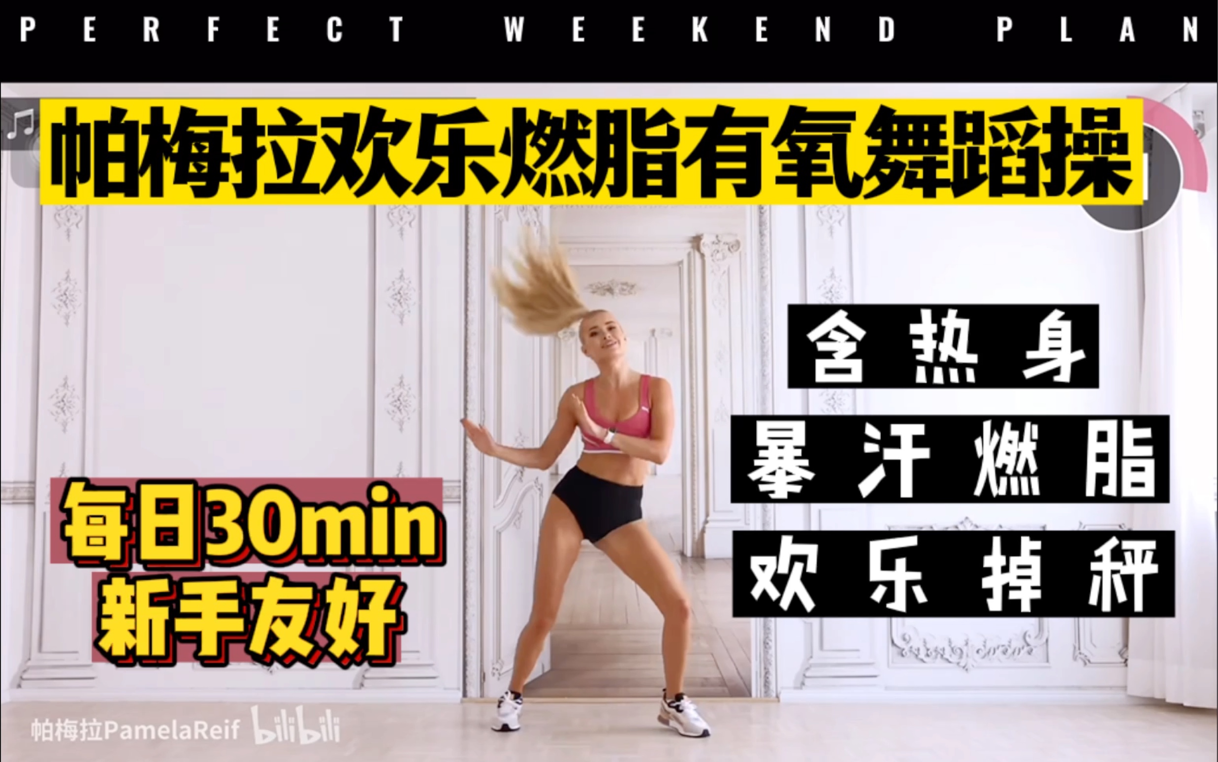 帕梅拉欢乐燃脂有氧操系列 每日30min自用