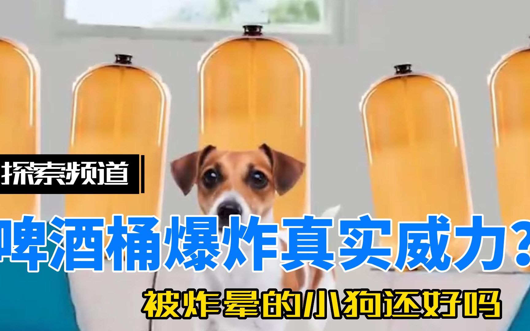 被炸晕的小狗回来了?见识一下爆炸瓶的真实威力,小狗还不怕吗
