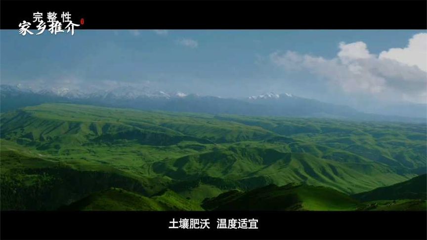 新疆伊犁喀拉峻风景区:喀拉峻宣传片2