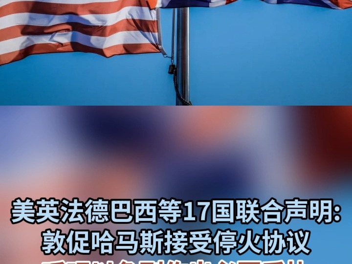 美英法德巴西等17国联合声明 敦促哈马斯接受停火协议 呼吁以色列...