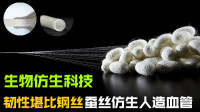 蚕丝韧性为何堪比钢丝?透视蚕吐丝构造,蚕丝仿生人造血管科技
