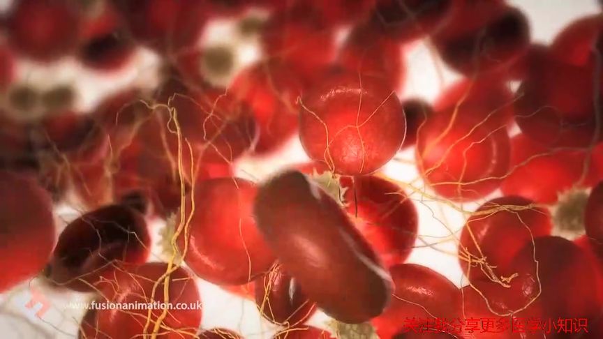 简单明了的凝血过程