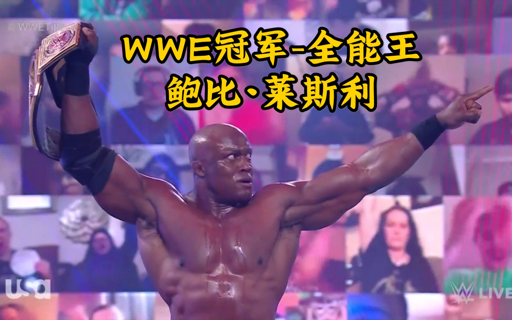 鲍比莱斯利成为WWE冠军全过程!助米兹夺冠!怒刷黑羊!三战米兹!