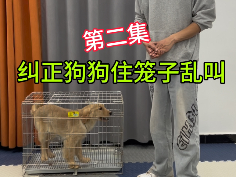 纠正狗狗住笼子乱叫